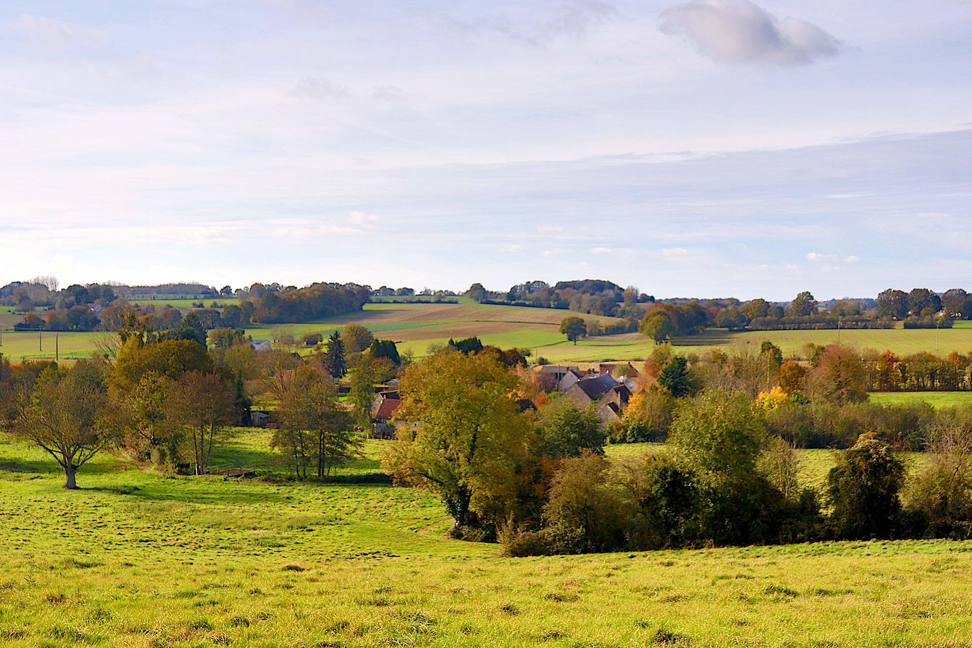 Accueil - Mr Patat' - Pâtés aux pommes de terre bourbonnais